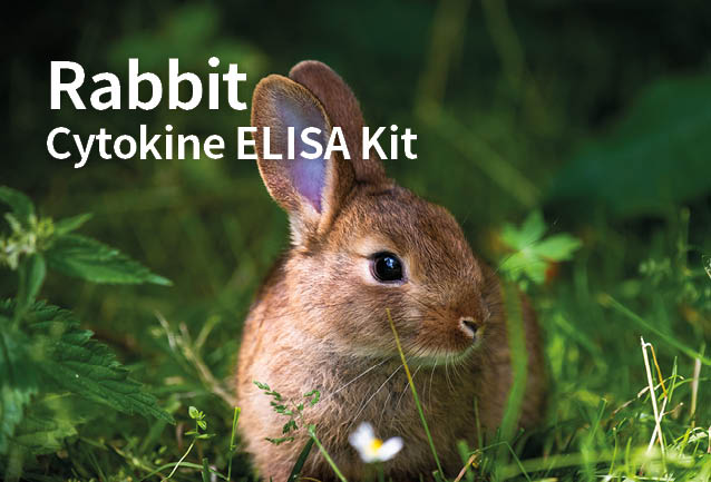 Rabbit-cytokine-elisa-kit > Cytokine ELISA Kit | LABIS KOMA Rabbit-cytokine-elisa-kit > Cytokine ELISA Kit | LABIS KOMA